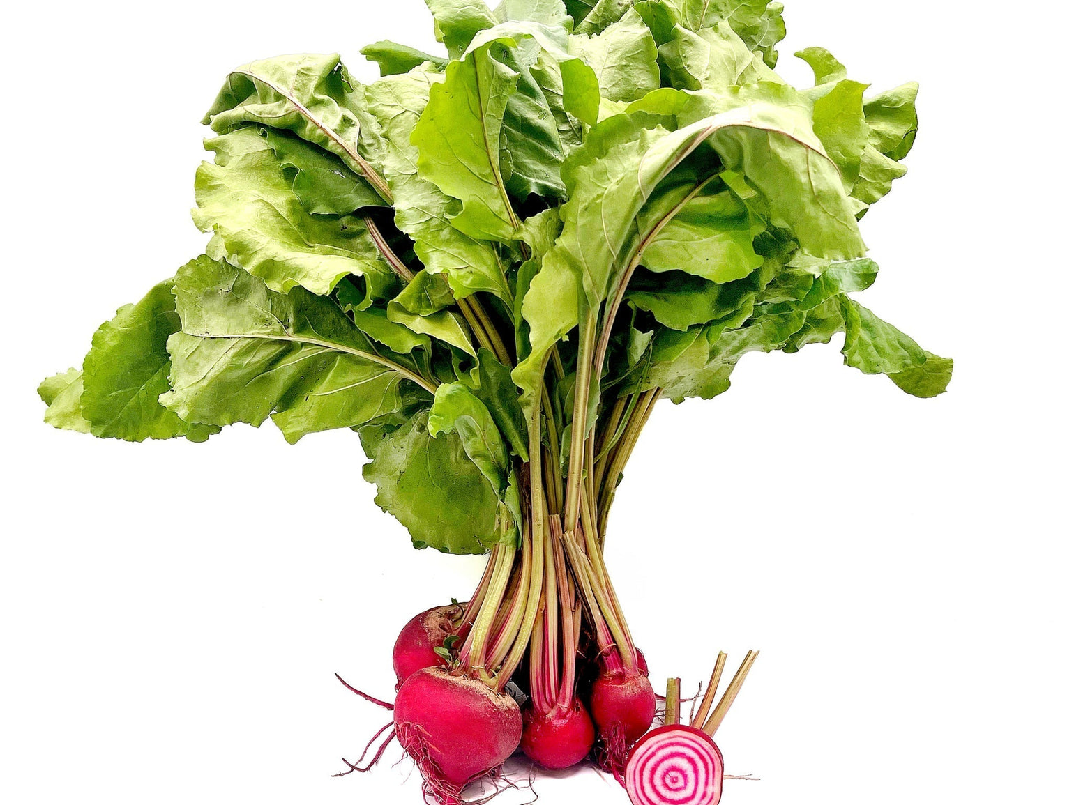 10 Ways to Cook Chioggia Beets – Easy & Flavorful Recipes – Fresh by 4Roots