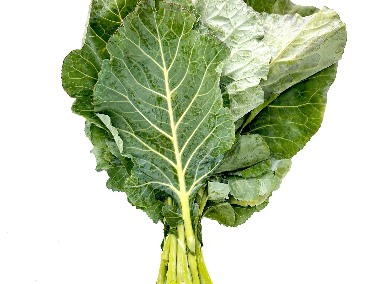 10 Delicious Ways to Cook Collard Greens | 4Roots Farm – Fresh by 4Roots