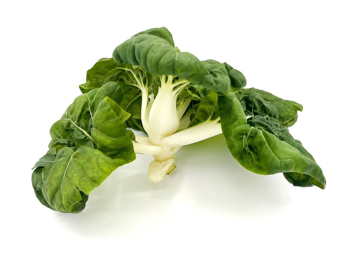 10 Ways to Enjoy Milk Bok Choy – Fresh by 4Roots