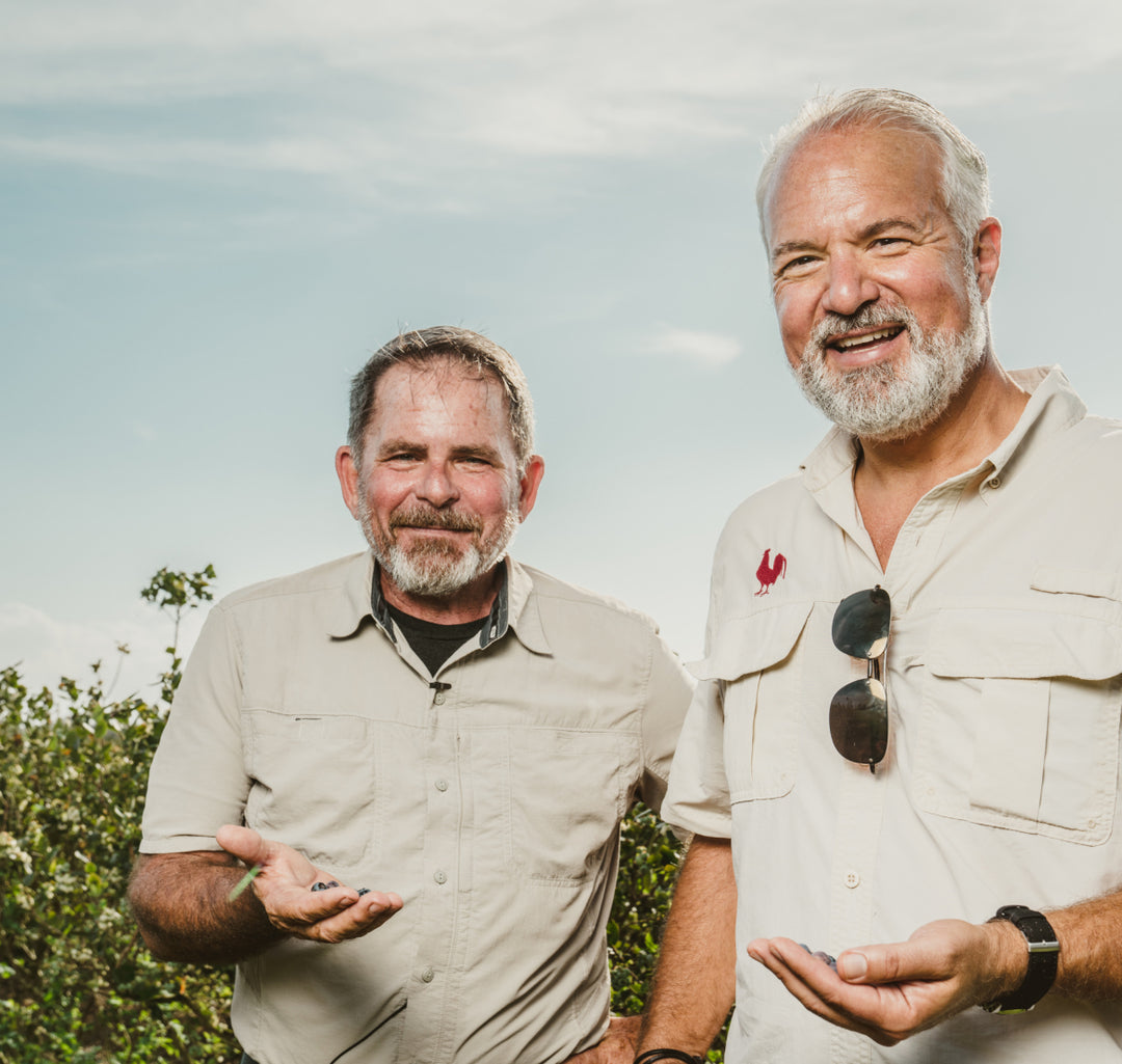 About 4Roots | Advancing Regenerative Farming & Community Health ...